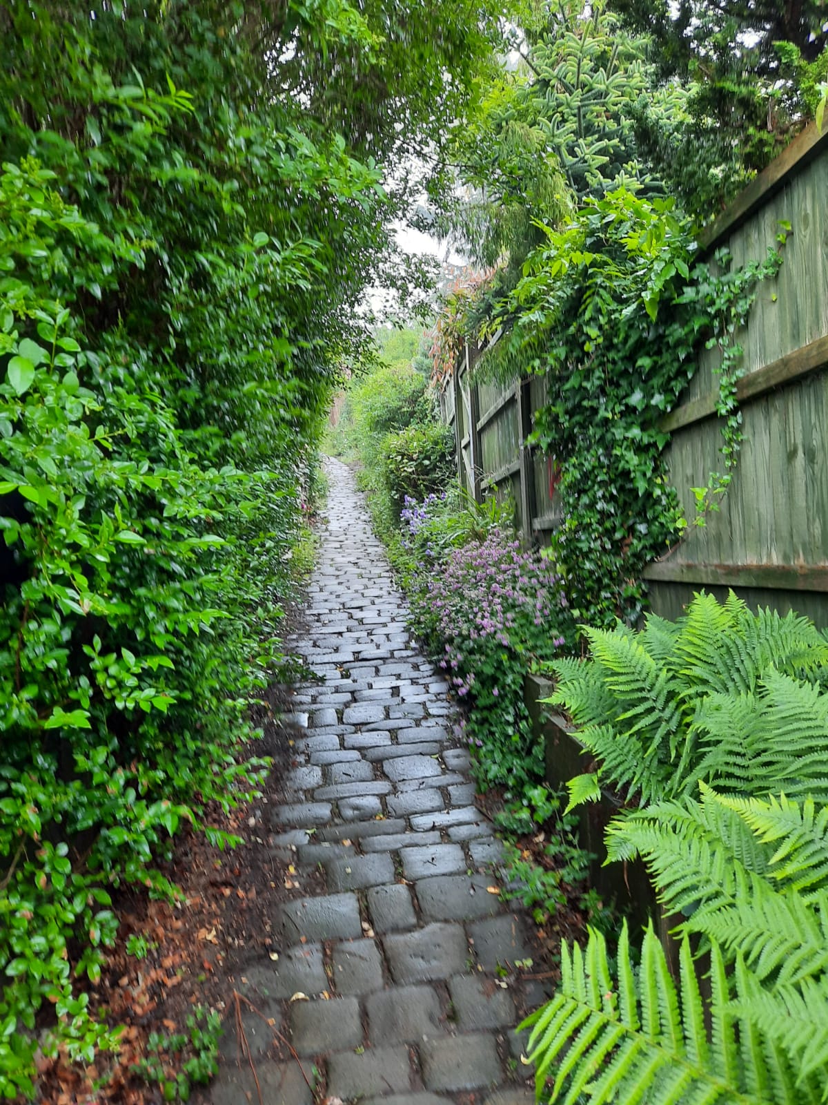 Gallery – Friends of Cobnar/Bolehill Wood