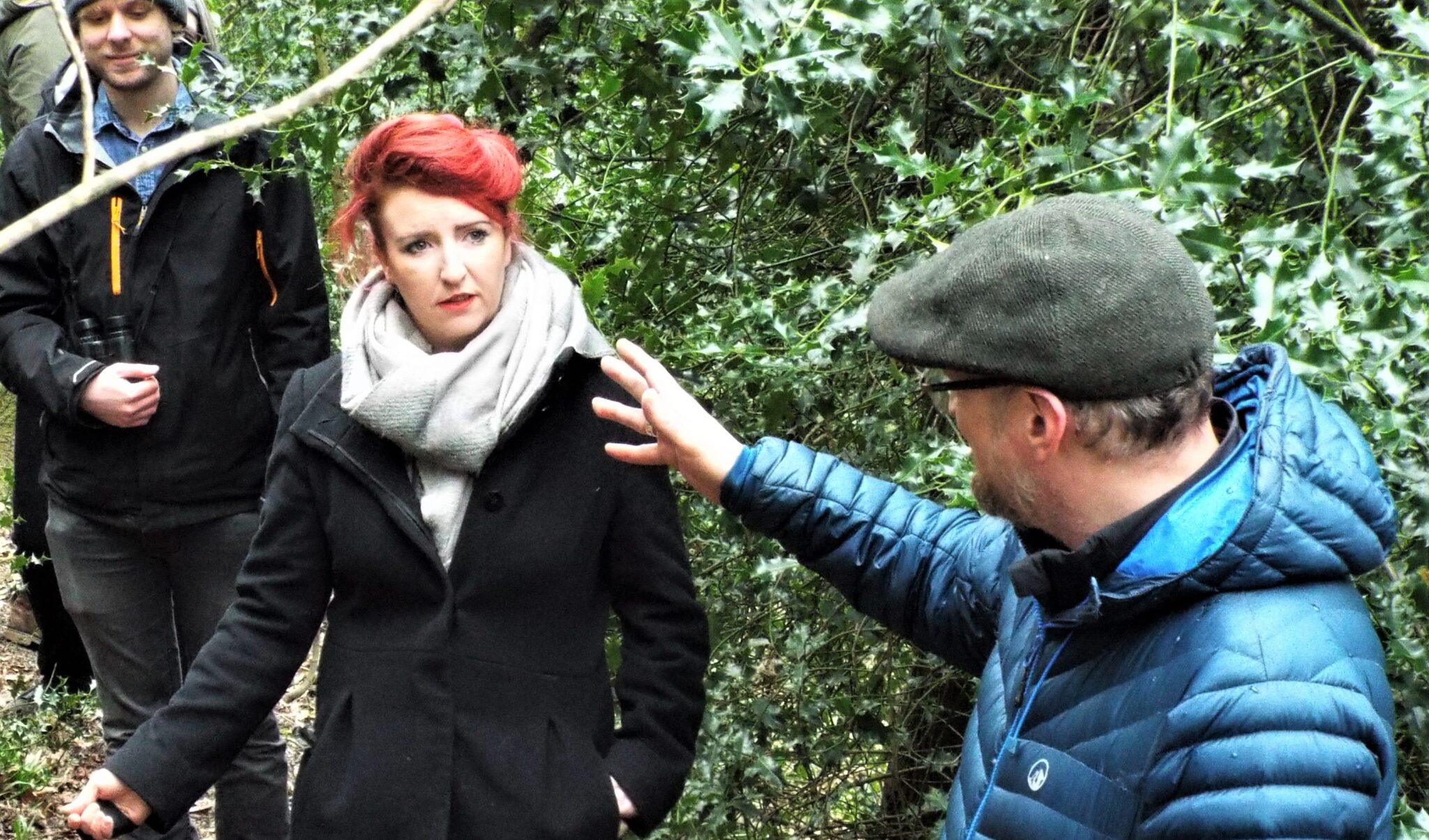 Press Releases – Friends of Cobnar/Bolehill Wood